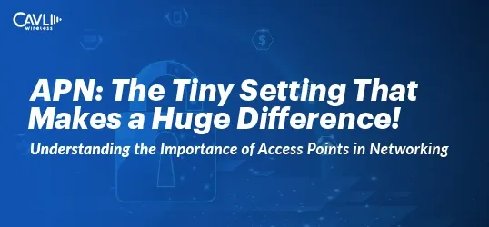 What is APN? A Comprehensive Guide to Access Point Names and IoT ...