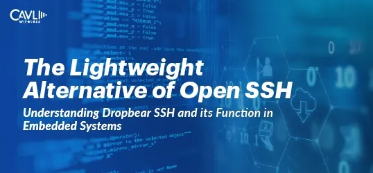 Dropbear SSH: Lightweight SSH for IoT Device Management
