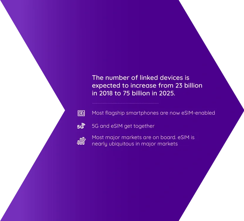 The Future of eSIM for IoT Solutions