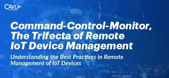 Remote IoT Device Management | Secure & Efficient Monitoring